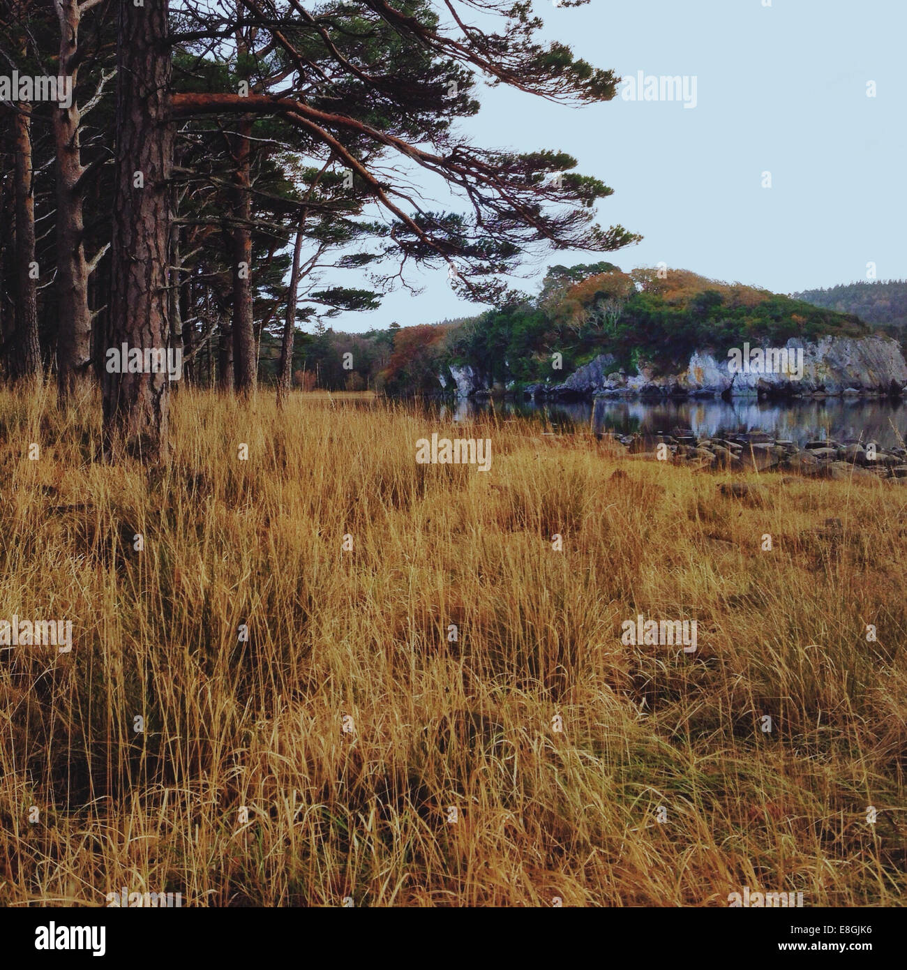 Ireland, Munster, County Kerry, Killarney, Autumn Landscape Stock Photo ...