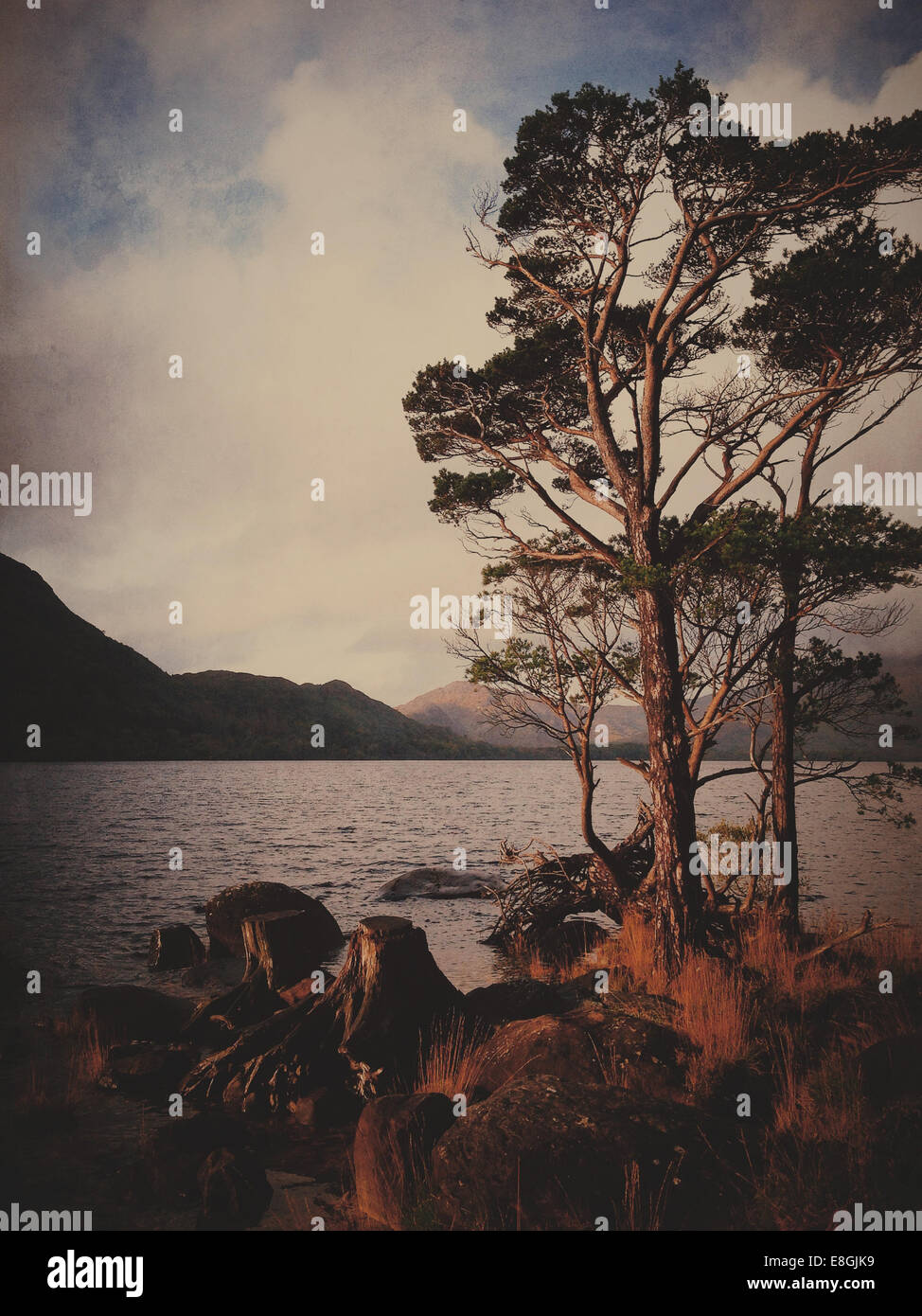 Lakes of Killarney and Killarney Mountains, County Kerry, Ireland Stock ...