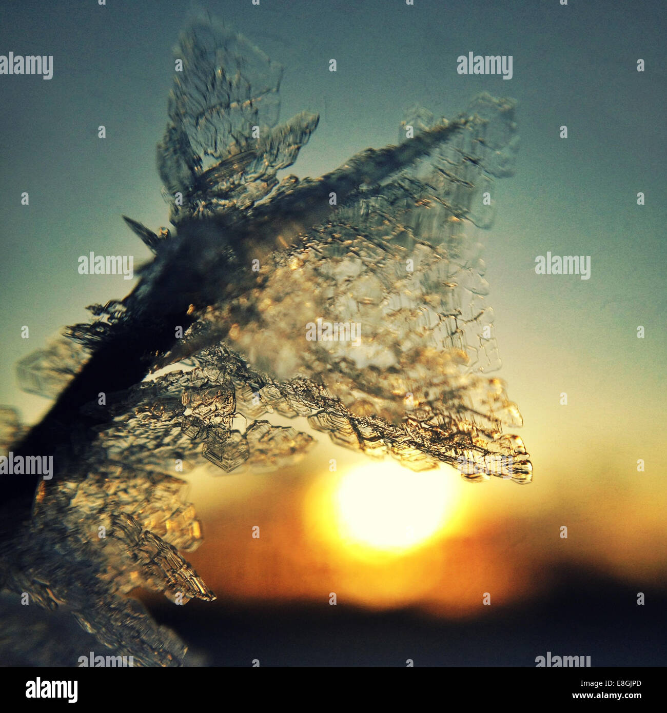 Ice crystals up close hi-res stock photography and images - Alamy