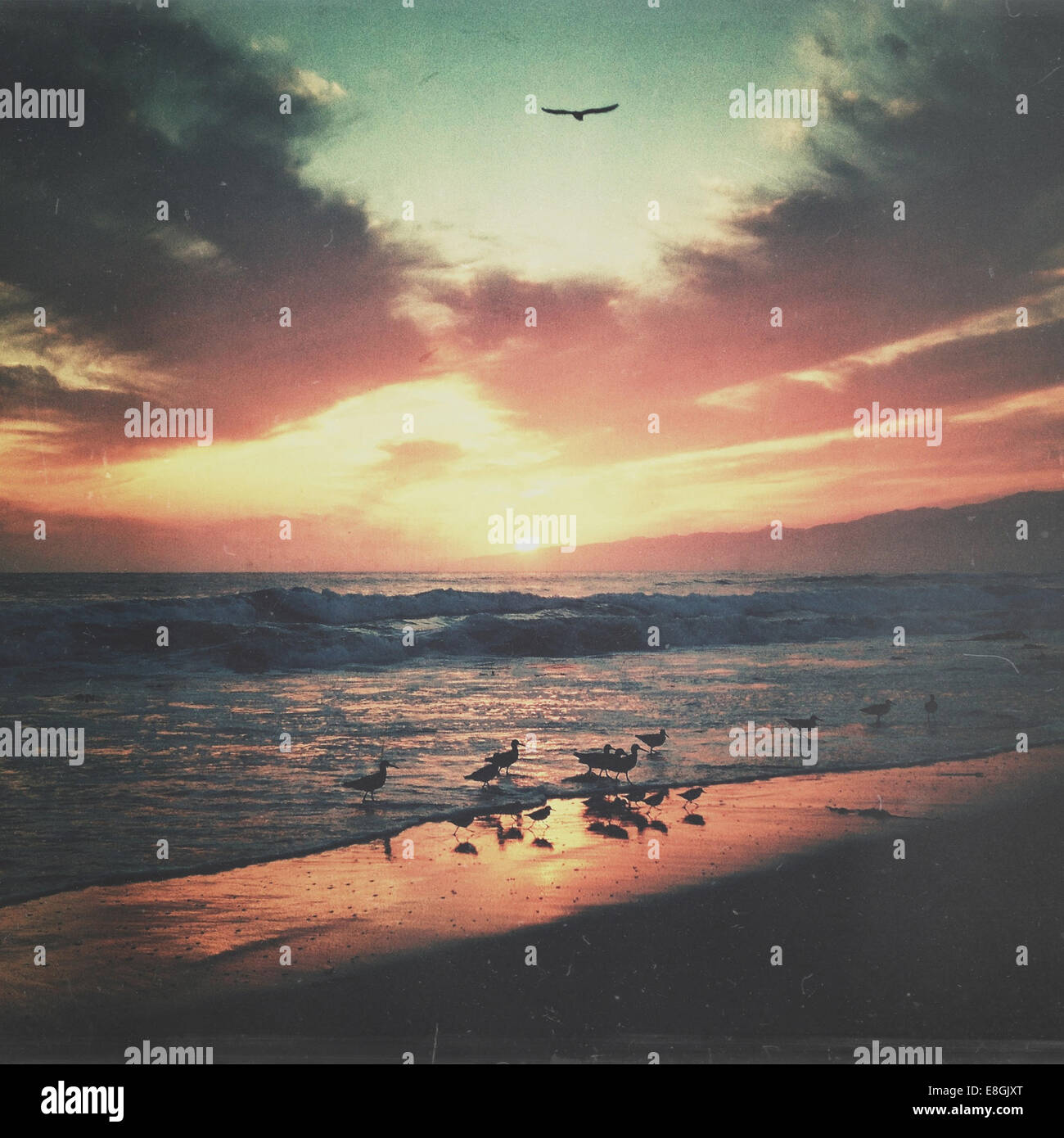 Los angeles county hi-res stock photography and images - Alamy