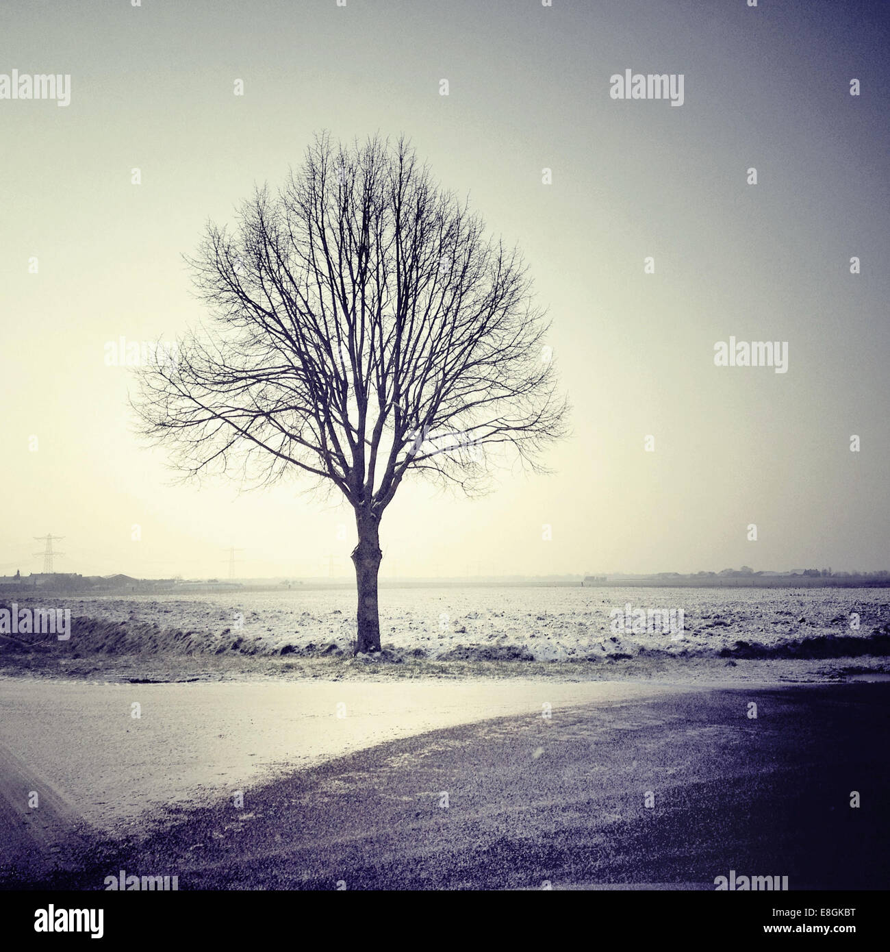 Winter netherlands hi-res stock photography and images - Alamy