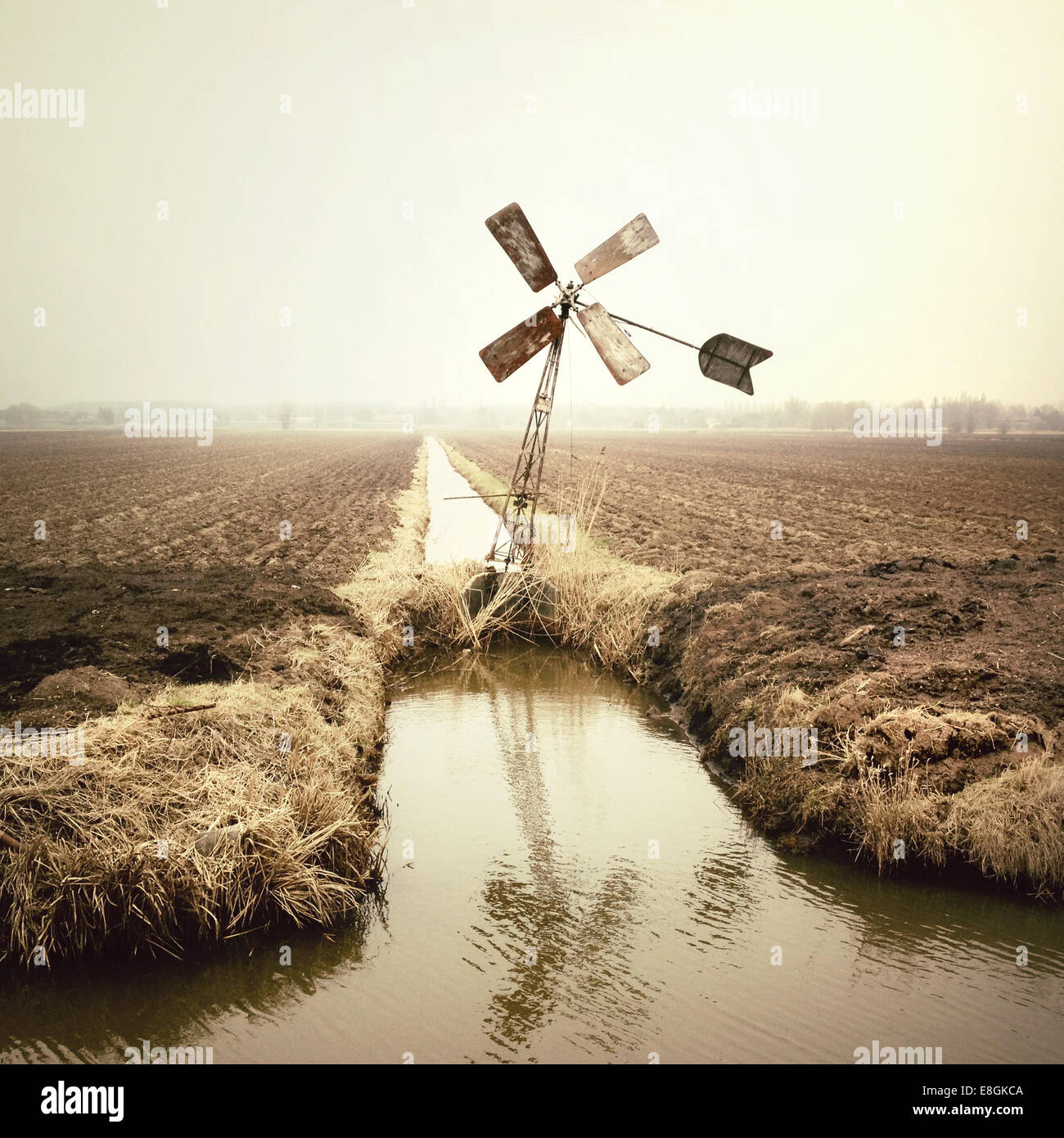 Wind turbine on field Stock Photo - Alamy