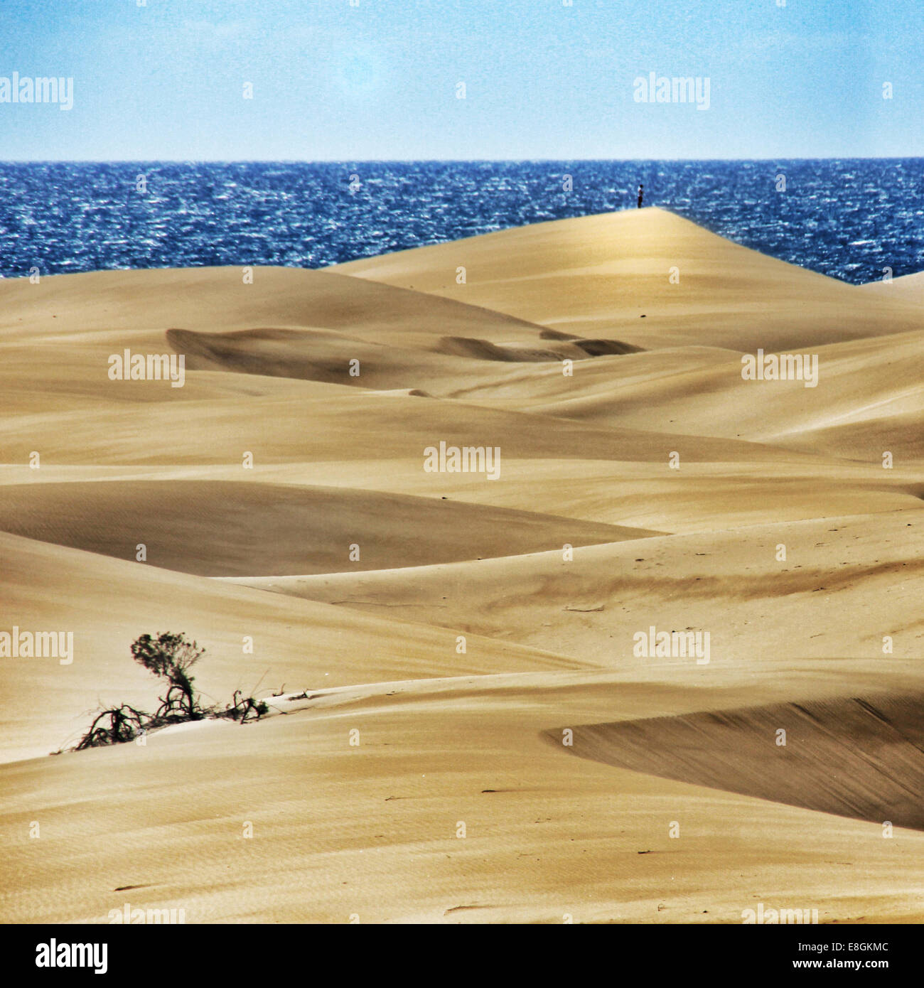 Person Standing On Sand Dune High Resolution Stock Photography and ...