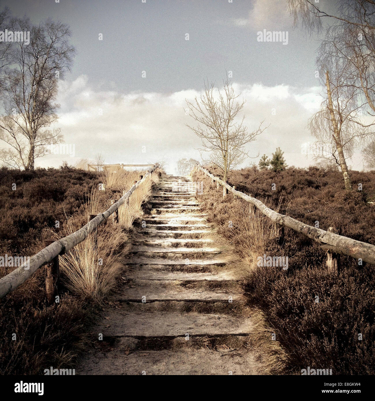 Top of hill hi-res stock photography and images - Alamy