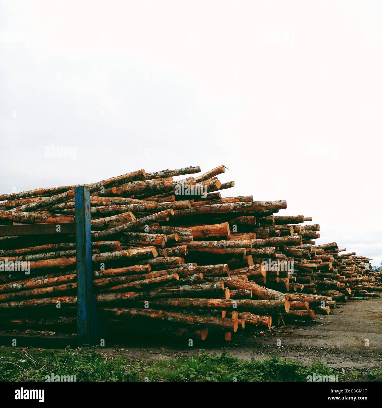 Stack of logs hi-res stock photography and images - Alamy