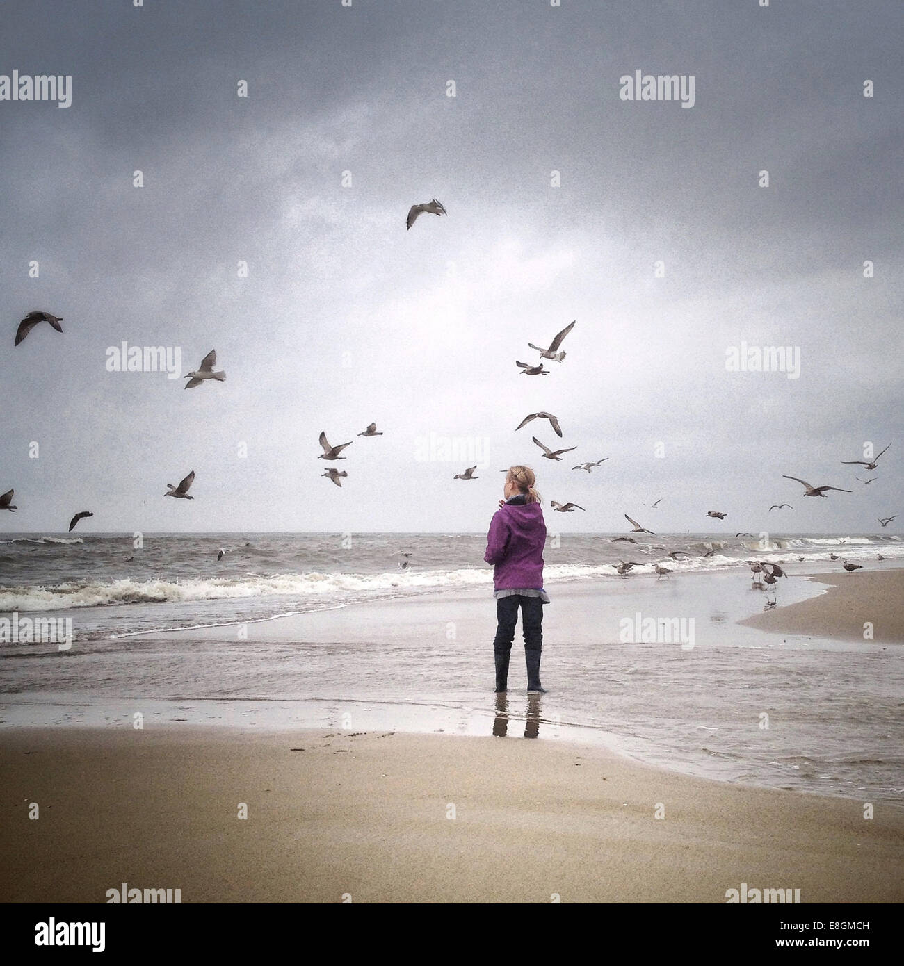 Birds flying around hi-res stock photography and images - Alamy