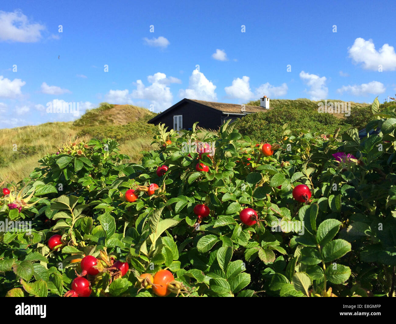 Bad House High Resolution Stock Photography and Images - Alamy