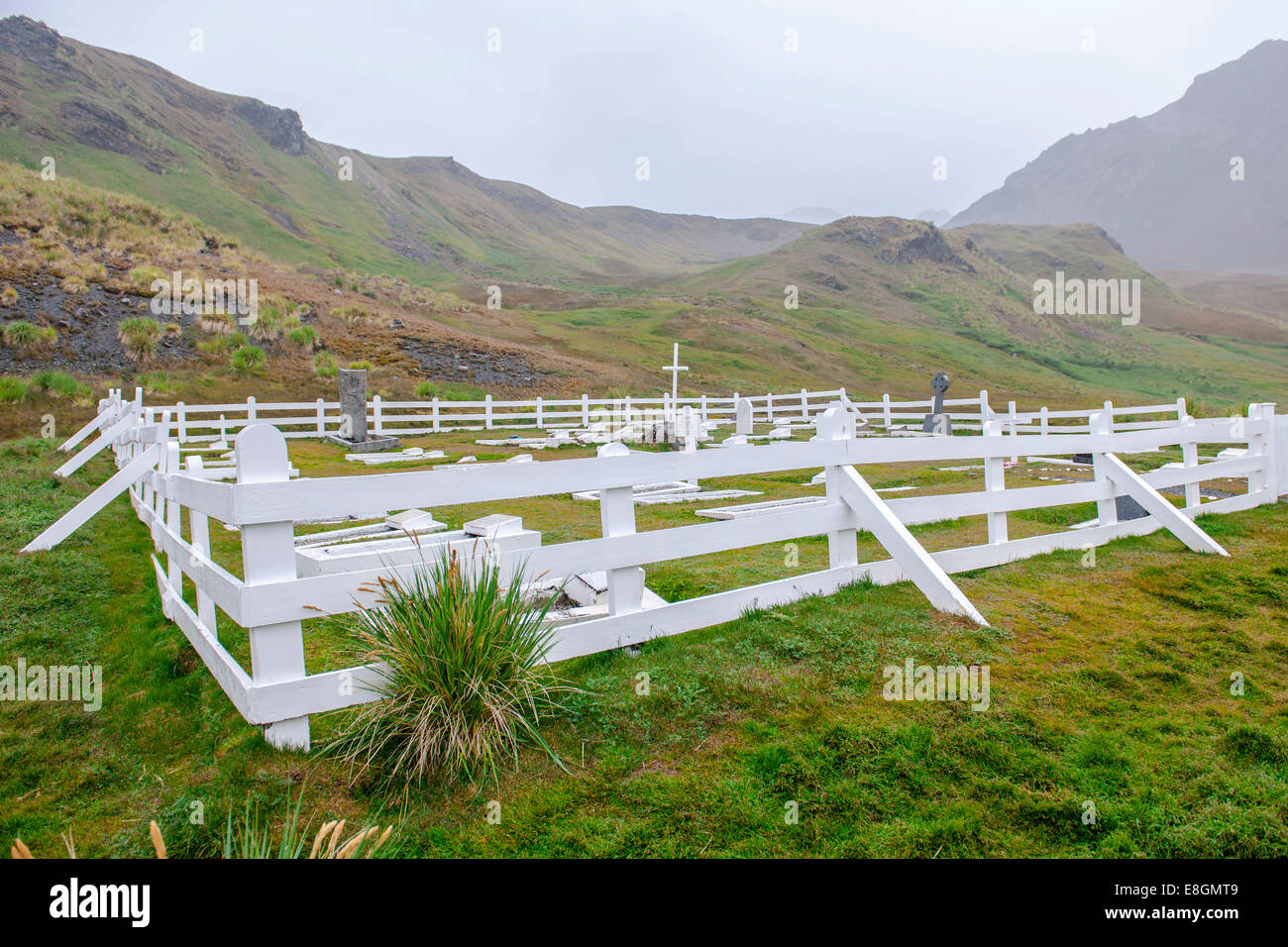 The cemetery of the former Stromness whaling station with the grave of ...
