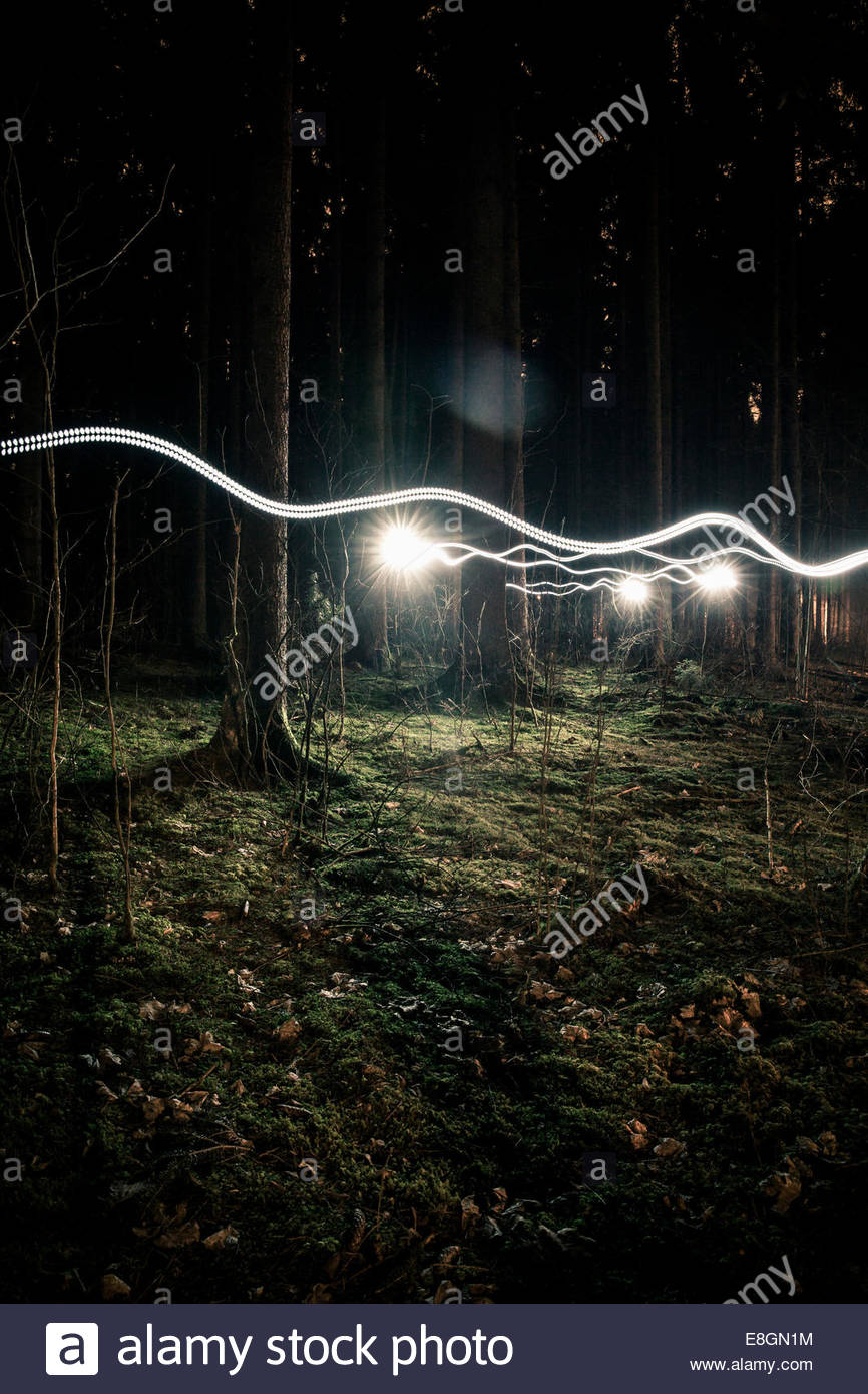Tree Light Dark High Resolution Stock Photography and Images - Alamy