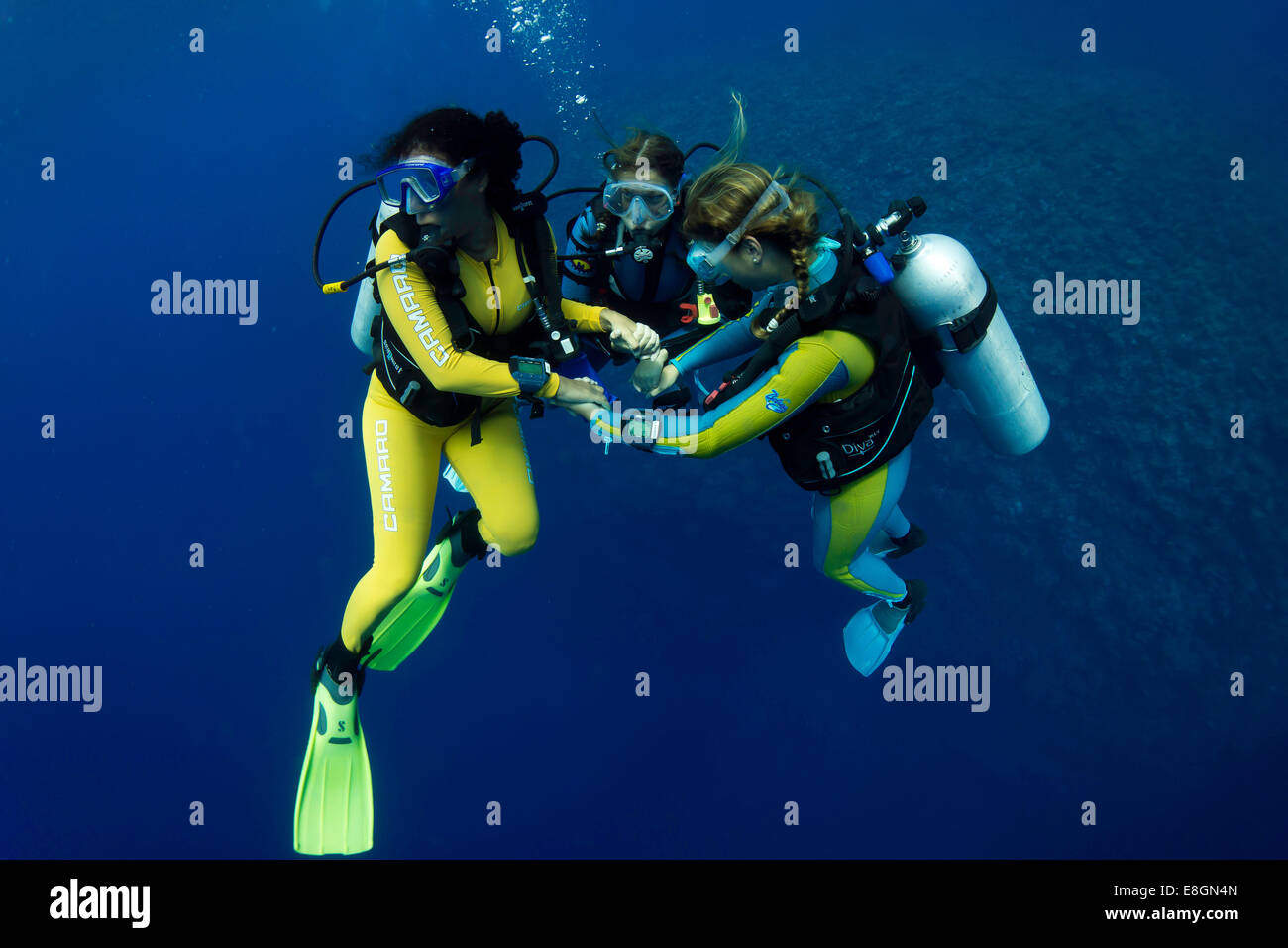 Group of scuba divers with colourful diving suits in the open water ...