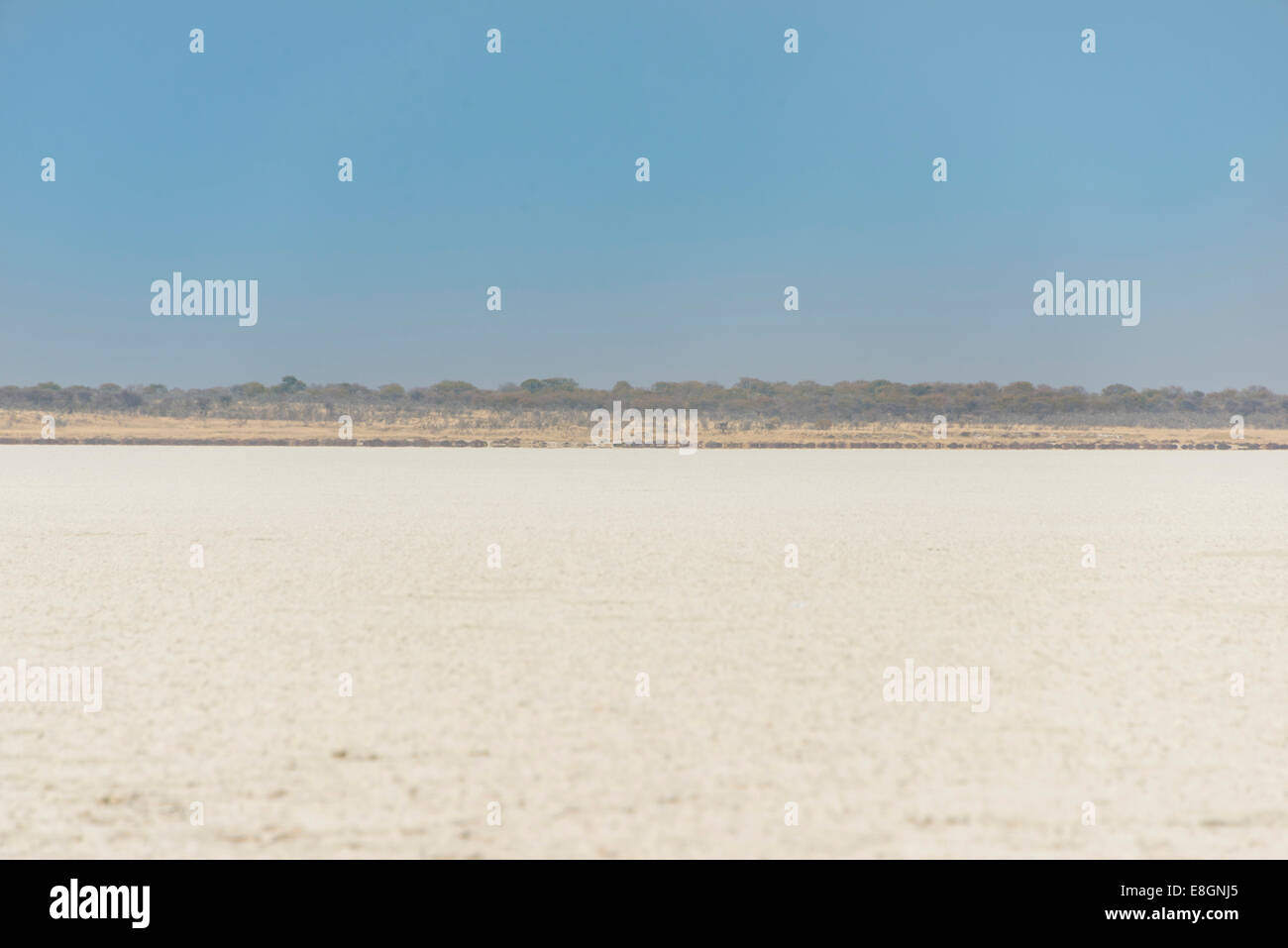 Etosha Pan, Etosha National Park, Namibia Stock Photo - Alamy
