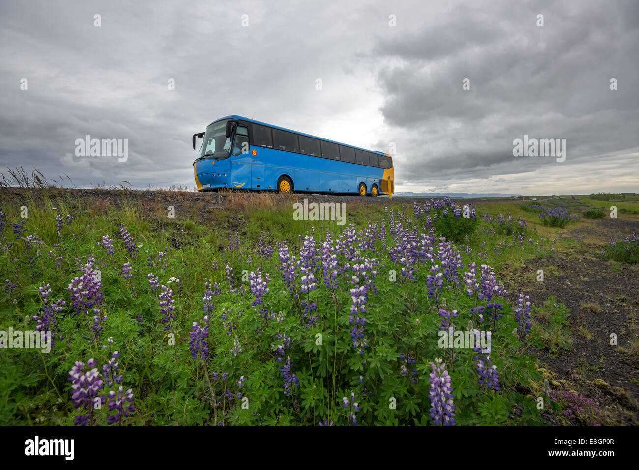 Into the wild bus hi-res stock photography and images - Alamy