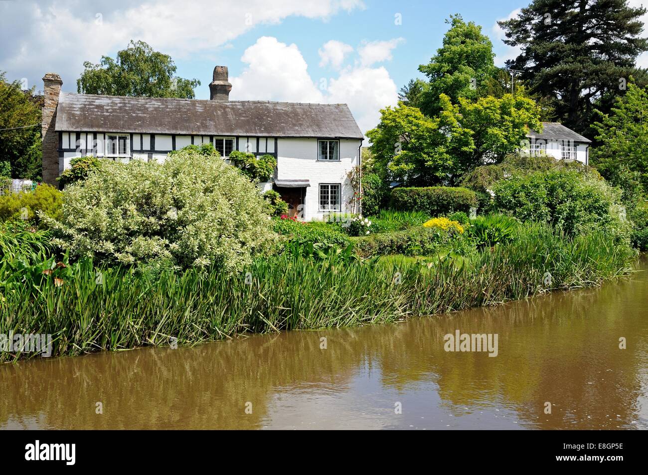 River Arrow with a pretty black and white timbered cottage to the rear ...