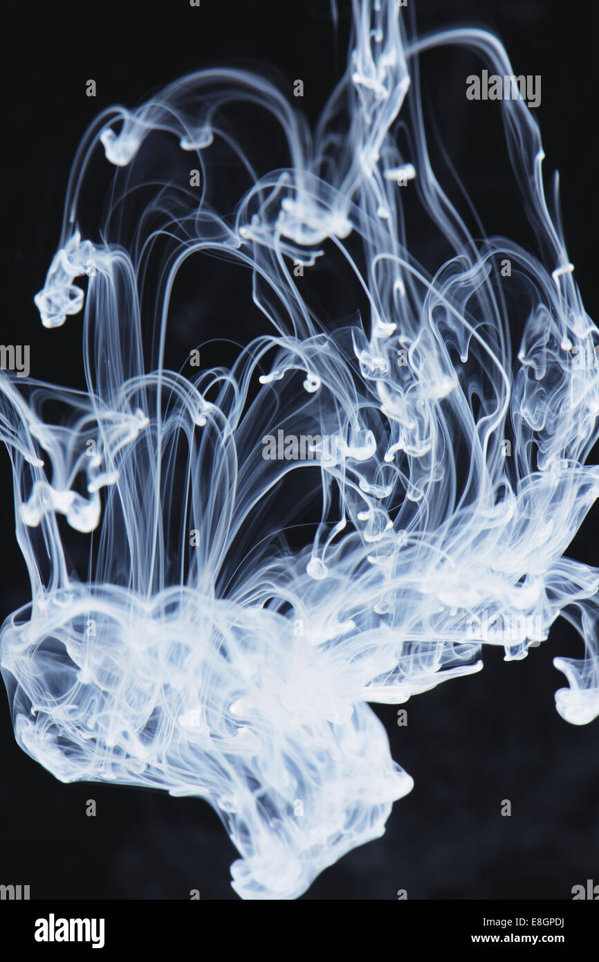 White Liquid Underwater Stock Photo - Alamy