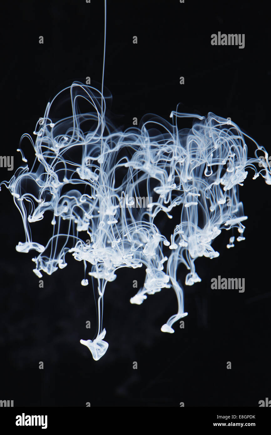 White Liquid Underwater Stock Photo - Alamy