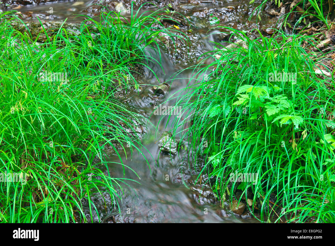 Kanna japan hi-res stock photography and images - Alamy