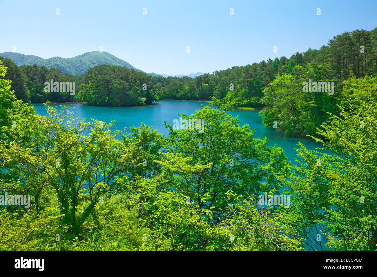 Japan bandai swamp hi-res stock photography and images - Alamy