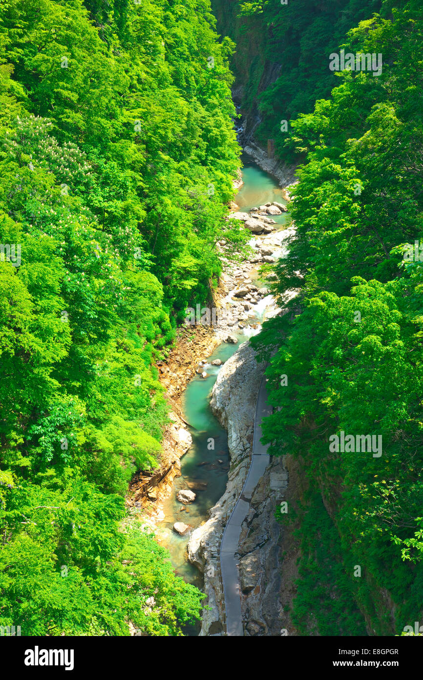 Akita city mountain hi-res stock photography and images - Alamy
