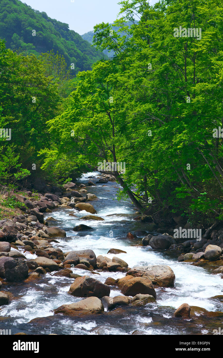 Akita Prefecture, Japan Stock Photo - Alamy