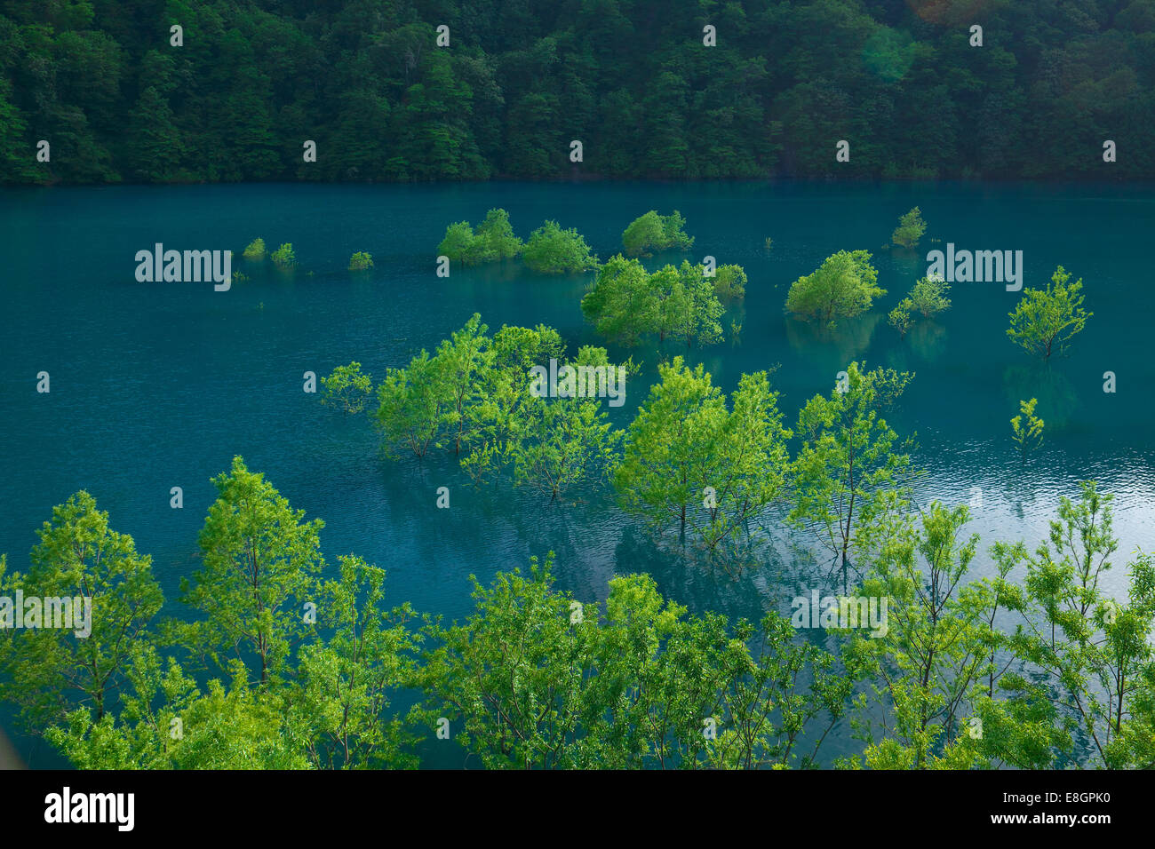 Akita Prefecture, Japan Stock Photo - Alamy