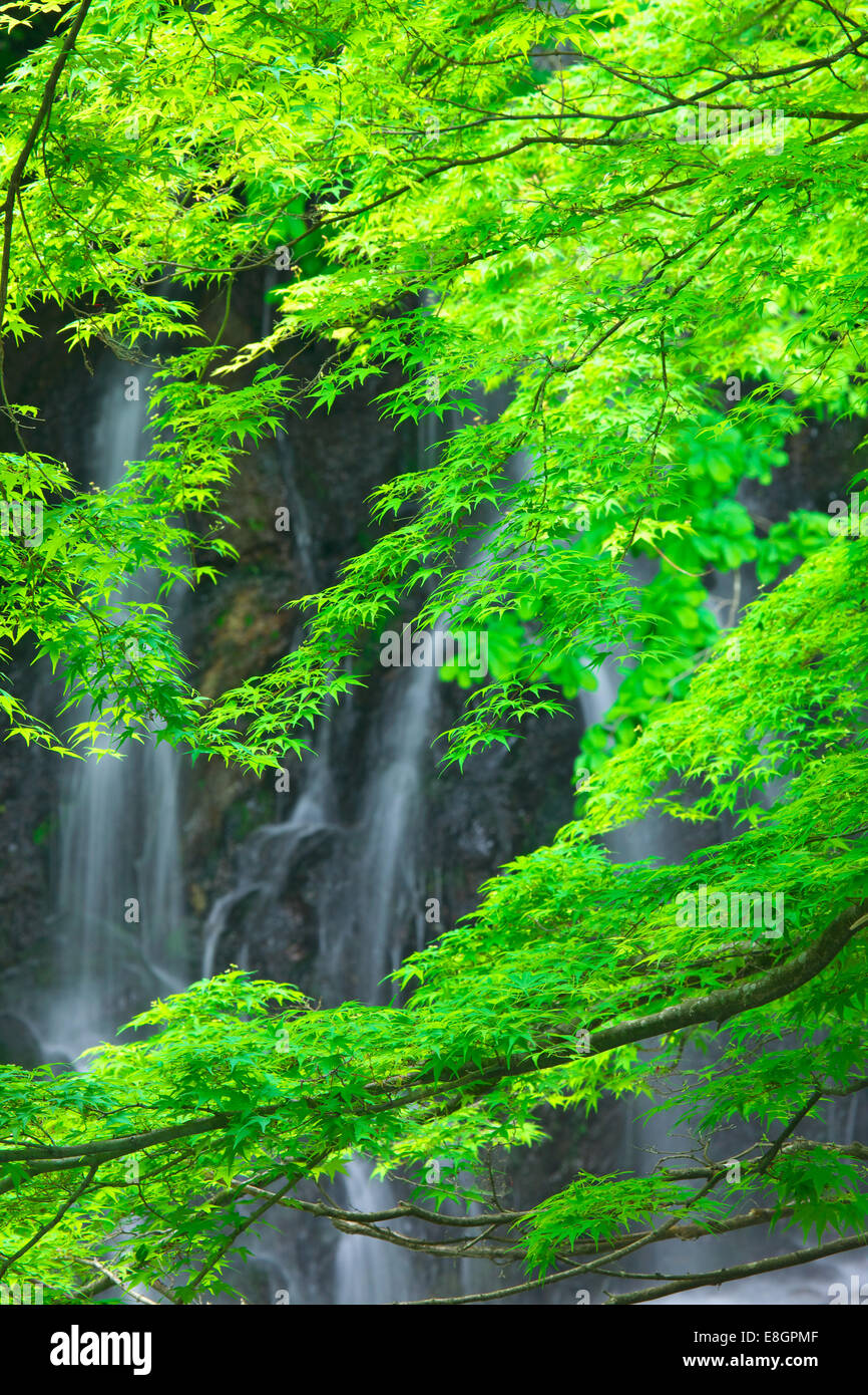 Kuroishi japan hi-res stock photography and images - Alamy
