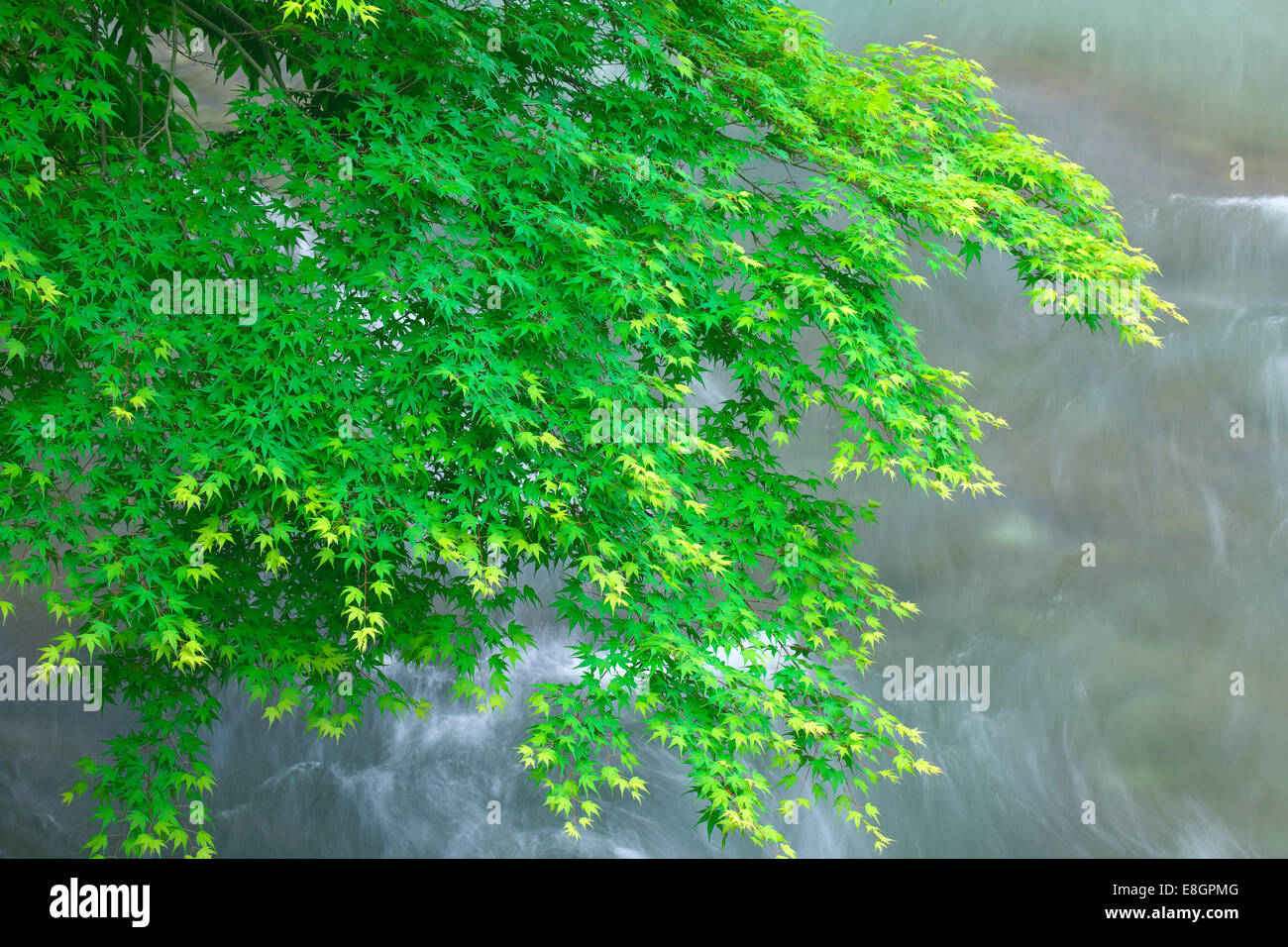 Kuroishi japan hi-res stock photography and images - Alamy