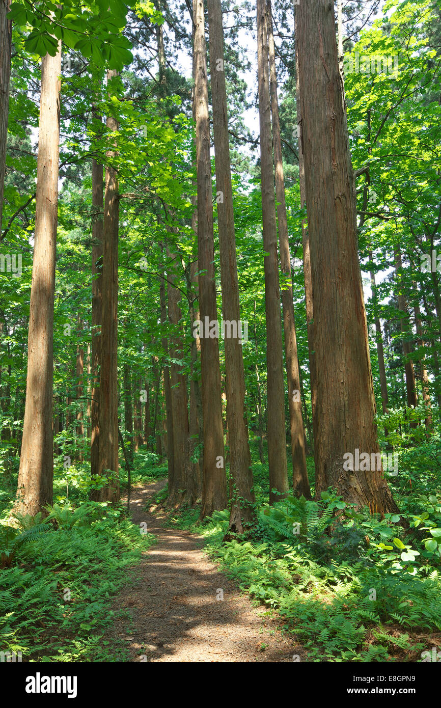 Akita Prefecture, Japan Stock Photo - Alamy