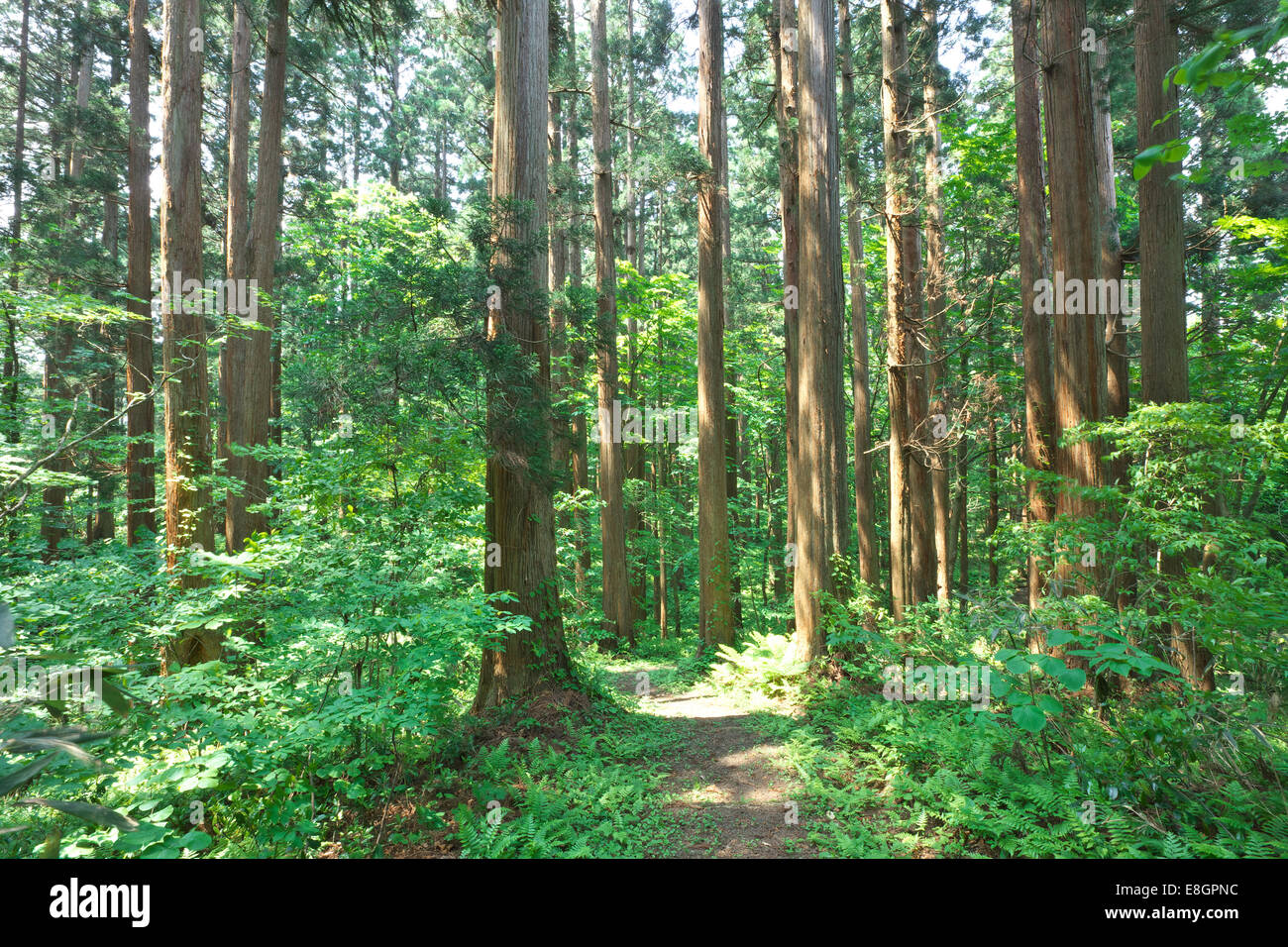 Akita Prefecture, Japan Stock Photo - Alamy