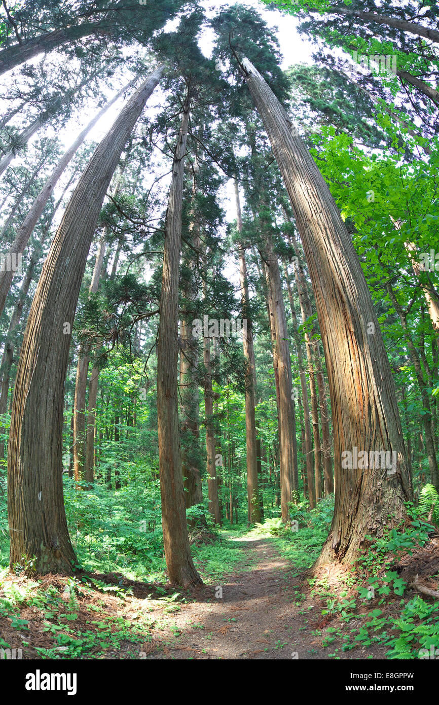Akita Prefecture, Japan Stock Photo - Alamy