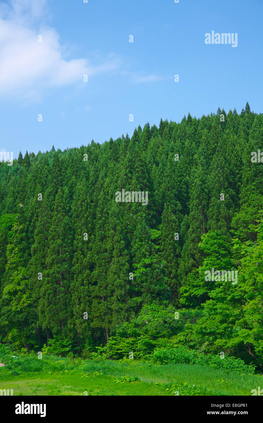 Akita Prefecture, Japan Stock Photo - Alamy