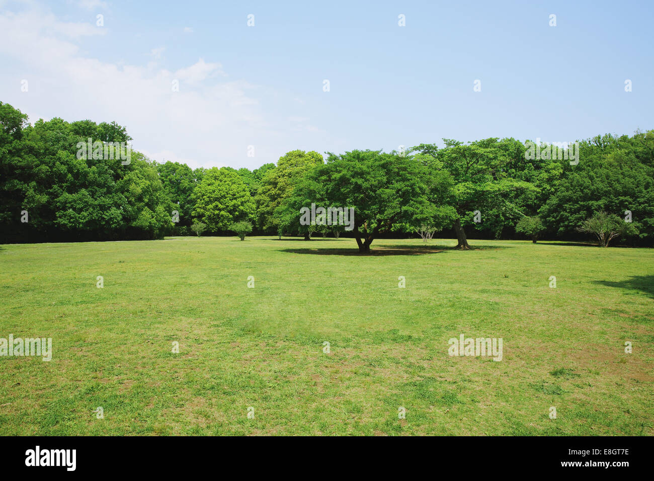 Kanagawa Prefecture, Japan Stock Photo - Alamy