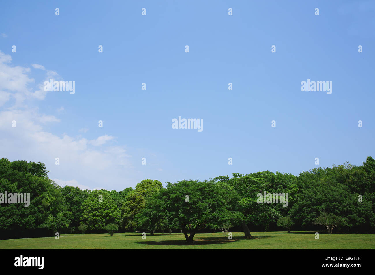 Kanagawa Prefecture, Japan Stock Photo - Alamy