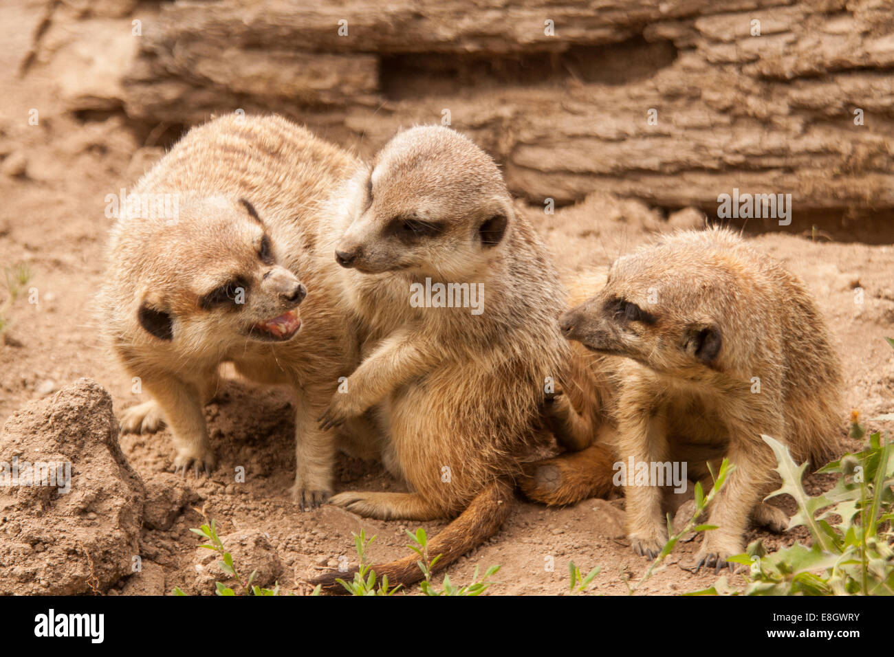 Outdoors wild places hi-res stock photography and images - Alamy