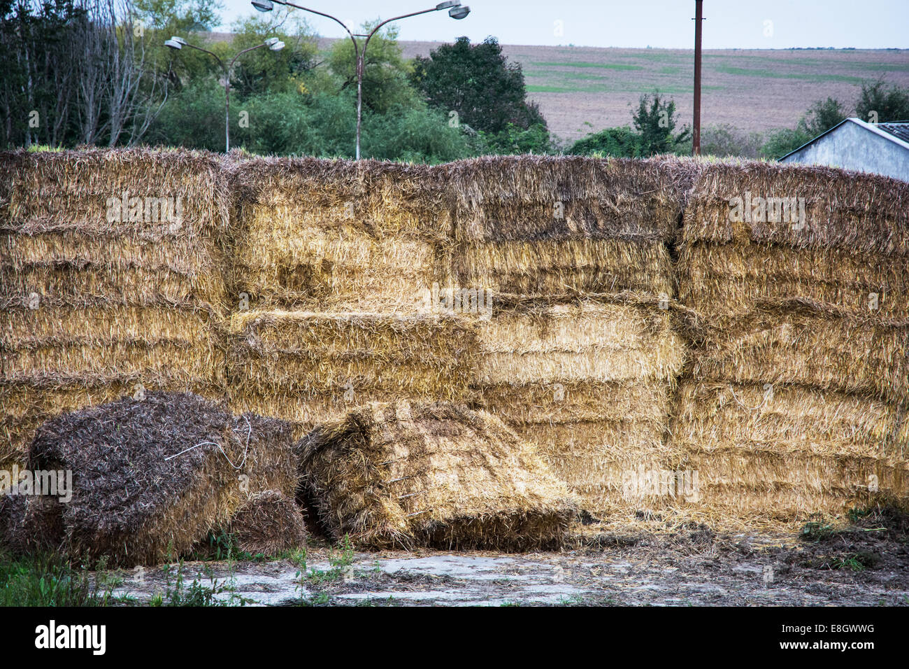 Huge farmhouse land hi-res stock photography and images - Alamy