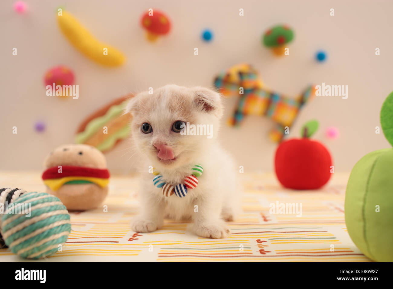 Salivating animal hi-res stock photography and images - Alamy