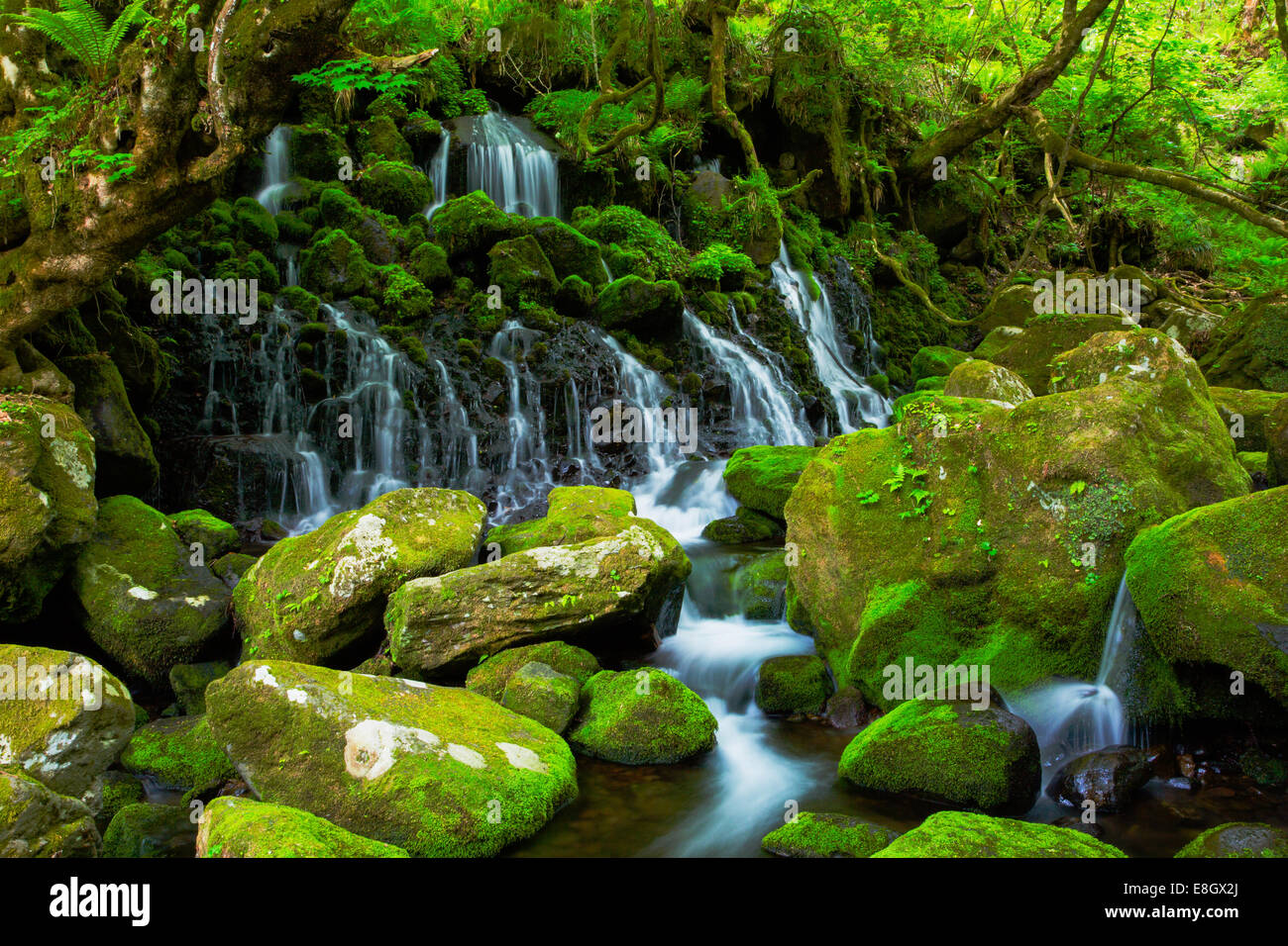 Akita Prefecture, Japan Stock Photo - Alamy