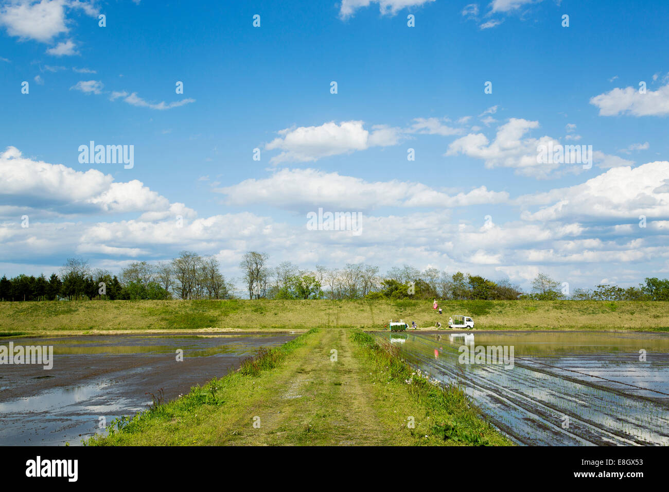 Tochigi Prefecture, Japan Stock Photo - Alamy