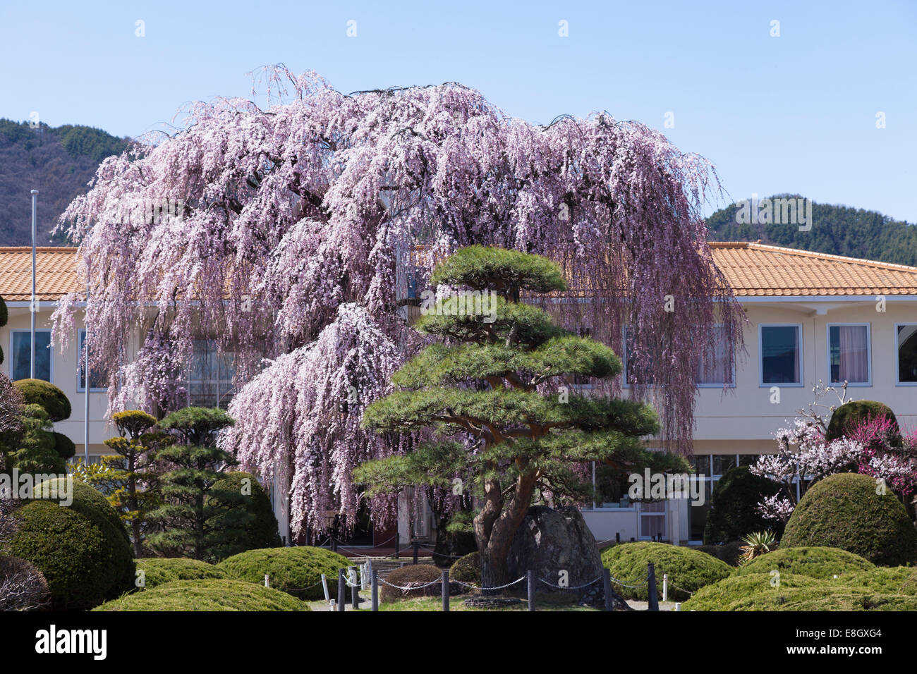 Yamagata village elementary school hi-res stock photography and images - Alamy