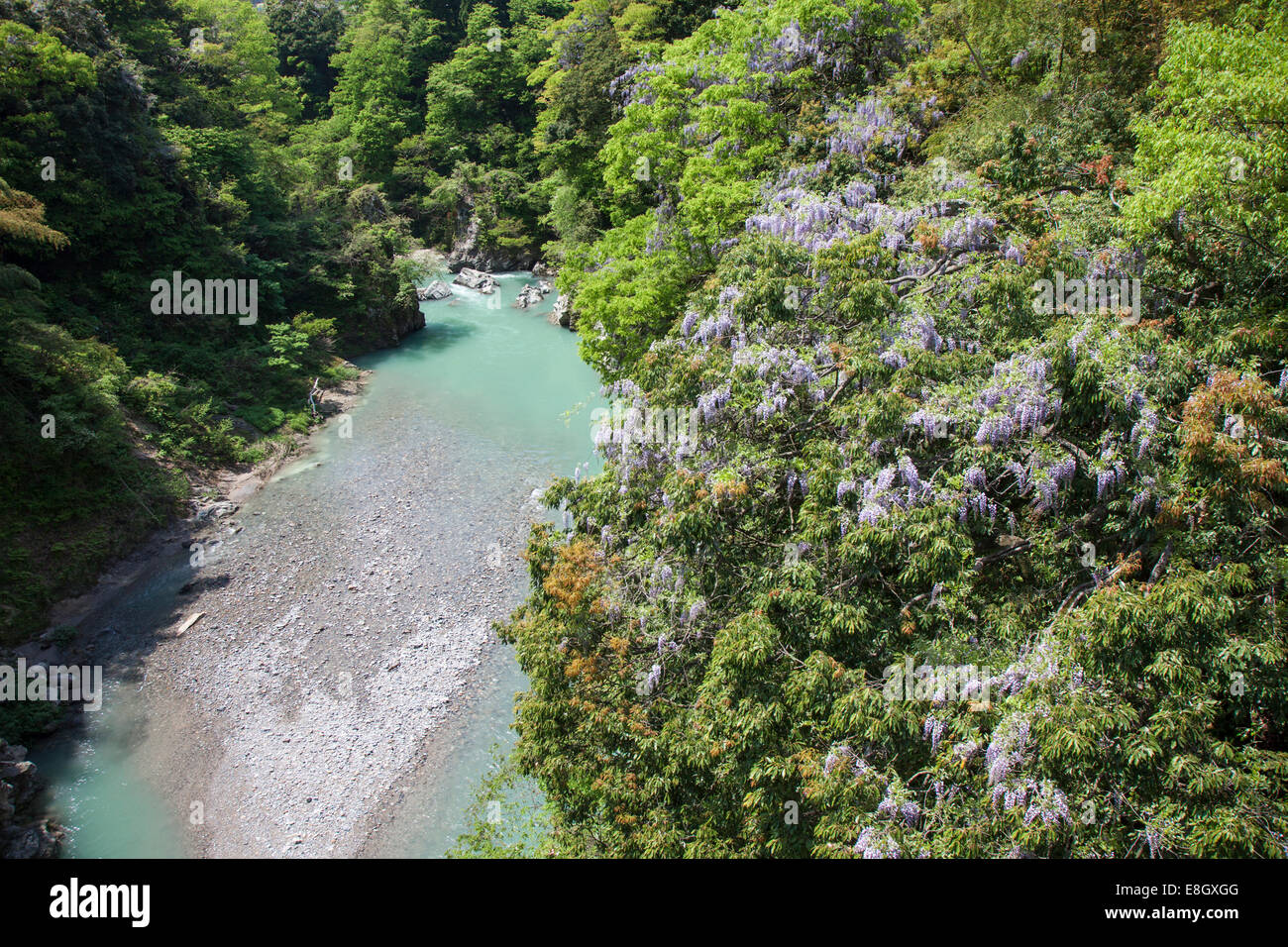 Ishikawa Prefecture, Japan Stock Photo - Alamy