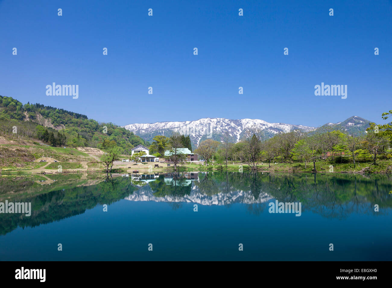 Niigata Prefecture, Japan Stock Photo - Alamy