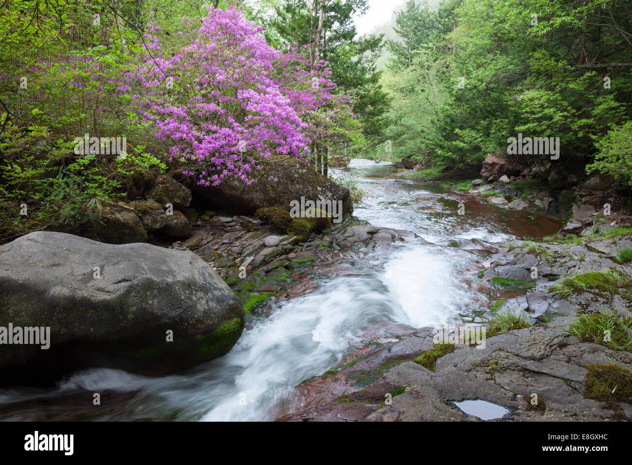 Nagano Prefecture, Japan Stock Photo - Alamy
