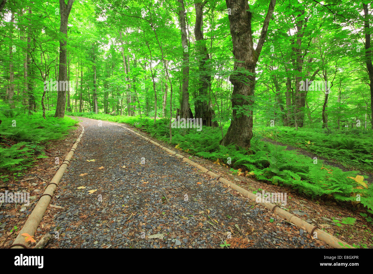 Iwate Prefecture, Japan Stock Photo - Alamy