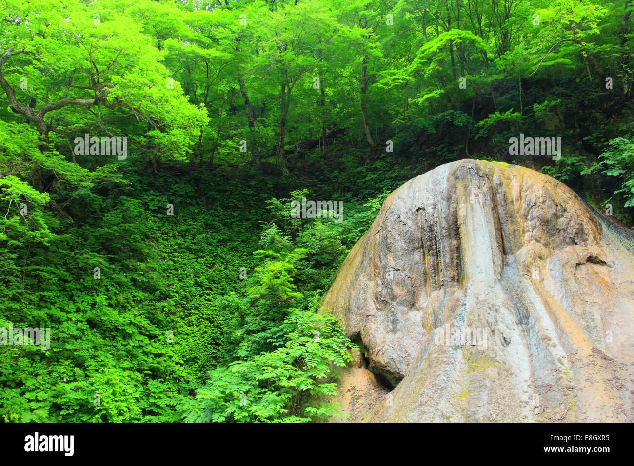 Iwate Prefecture, Japan Stock Photo - Alamy