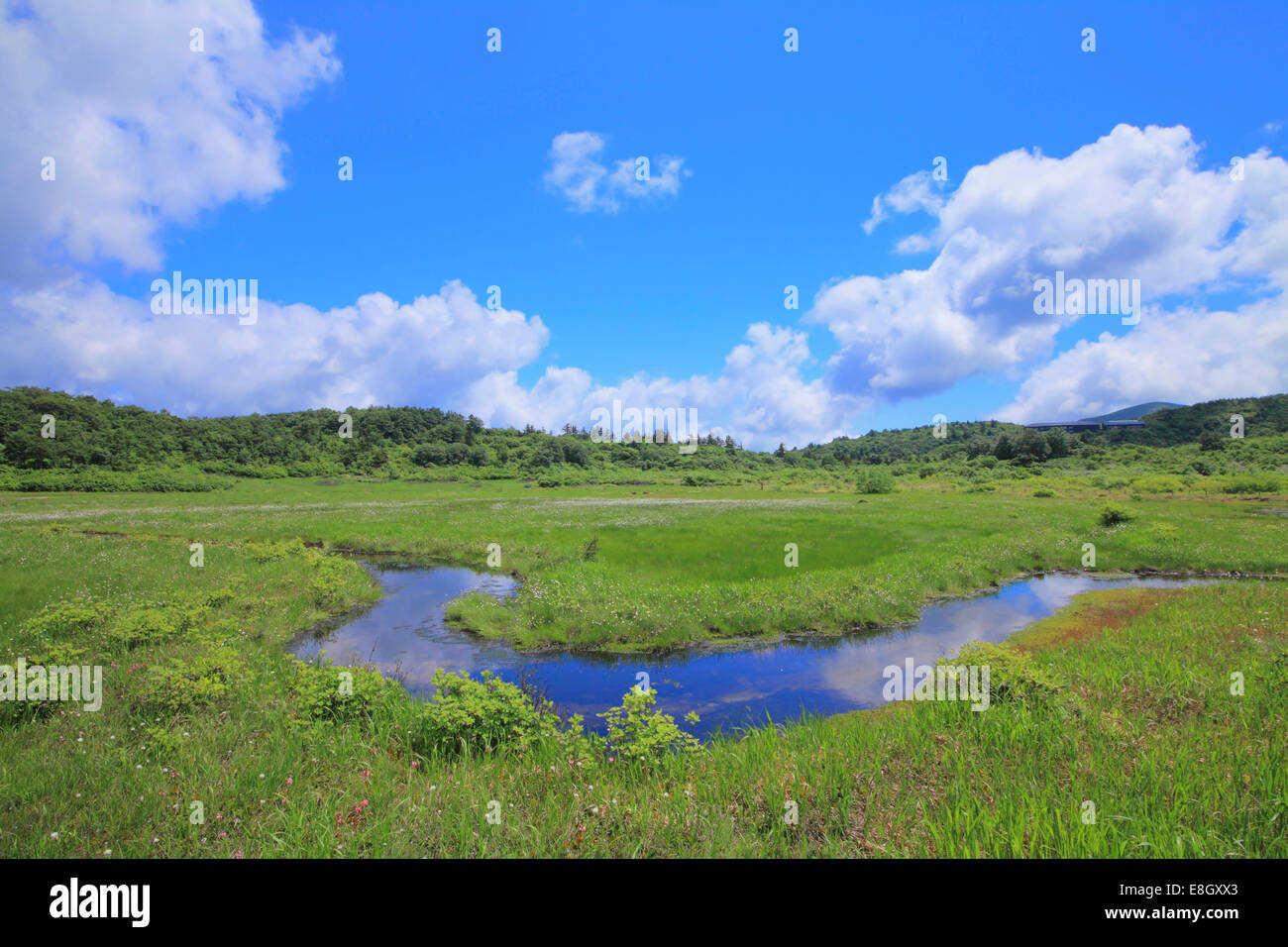 Akita Prefecture, Japan Stock Photo - Alamy