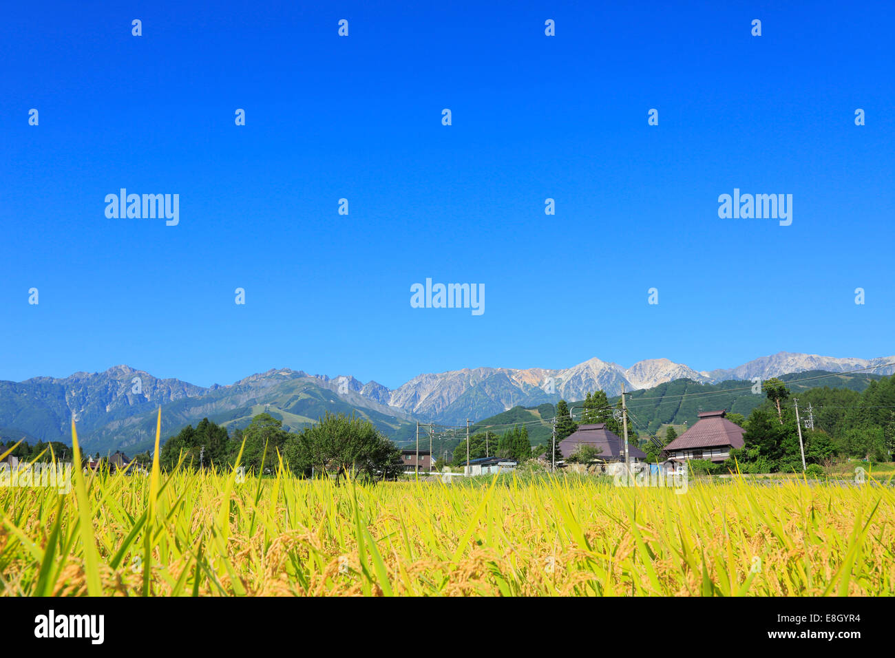 Nagano Prefecture, Japan Stock Photo - Alamy