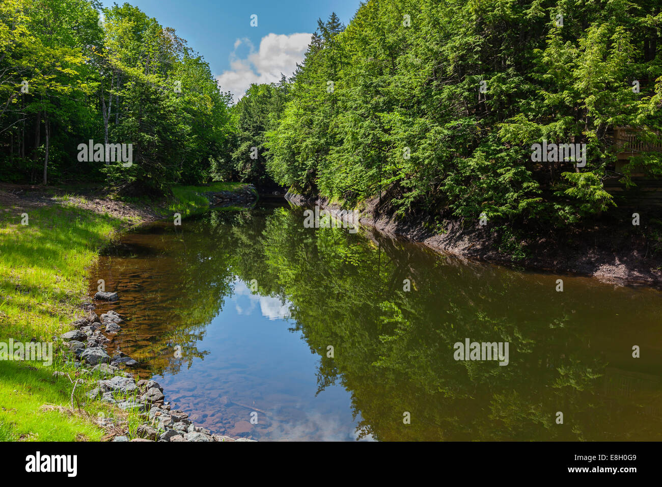 Mill pond at Balmoral Mills, Nova Scotia, Canada Stock Photo - Alamy