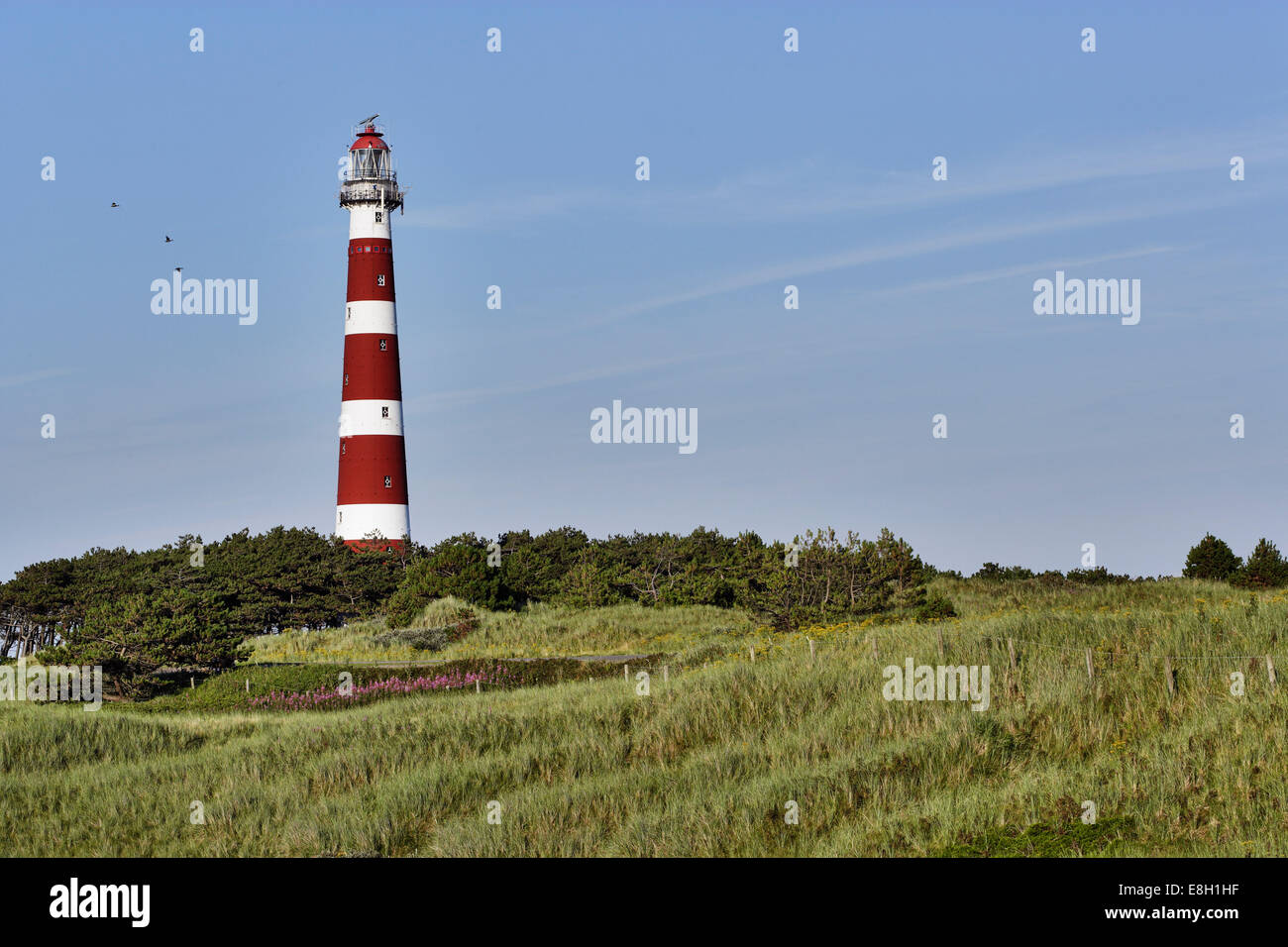 Netherlands, West Frisian Islands, West Friesland, Ameland, Holum ...