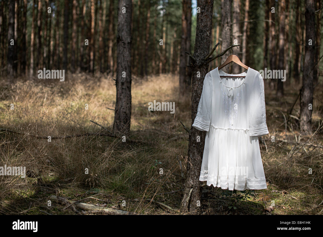 White dress on a hanging on a tree limb in a forest Stock Photo - Alamy