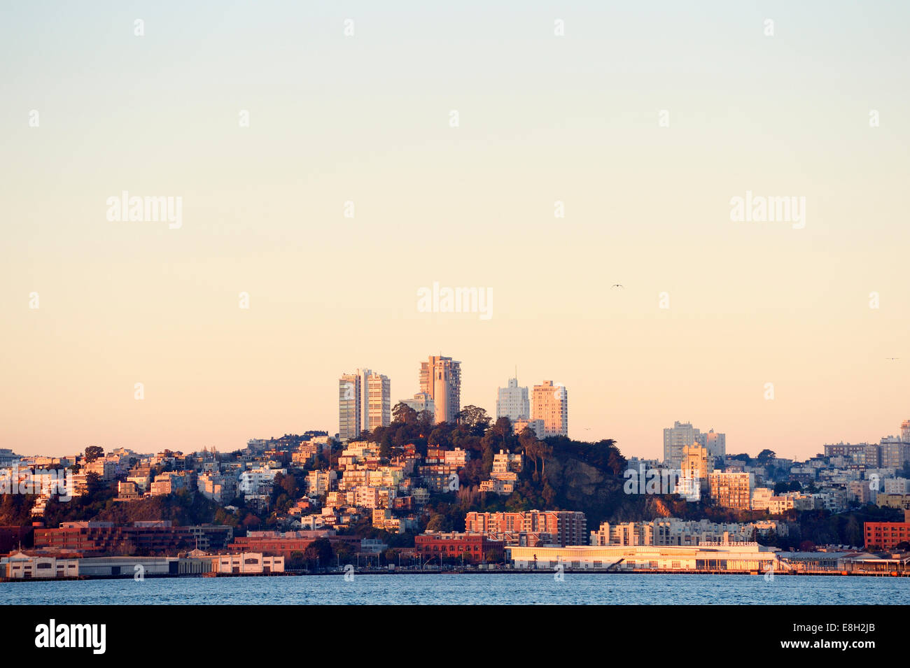 USA, California, San Francisco, skyline of North Beach and Telegraph ...