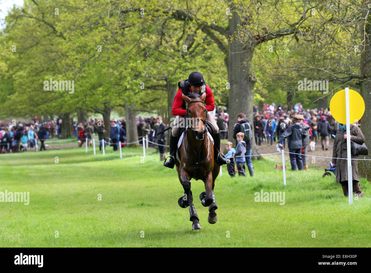 Andrew Heffernan on Millthyme Corolla at Badminton Horse Trials 2014 ...